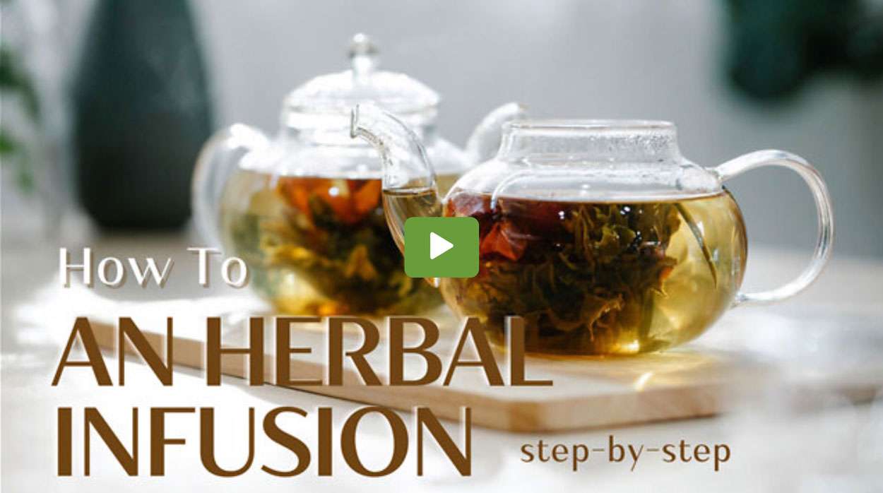 Making an herbal infusion | The Aquarius Bus