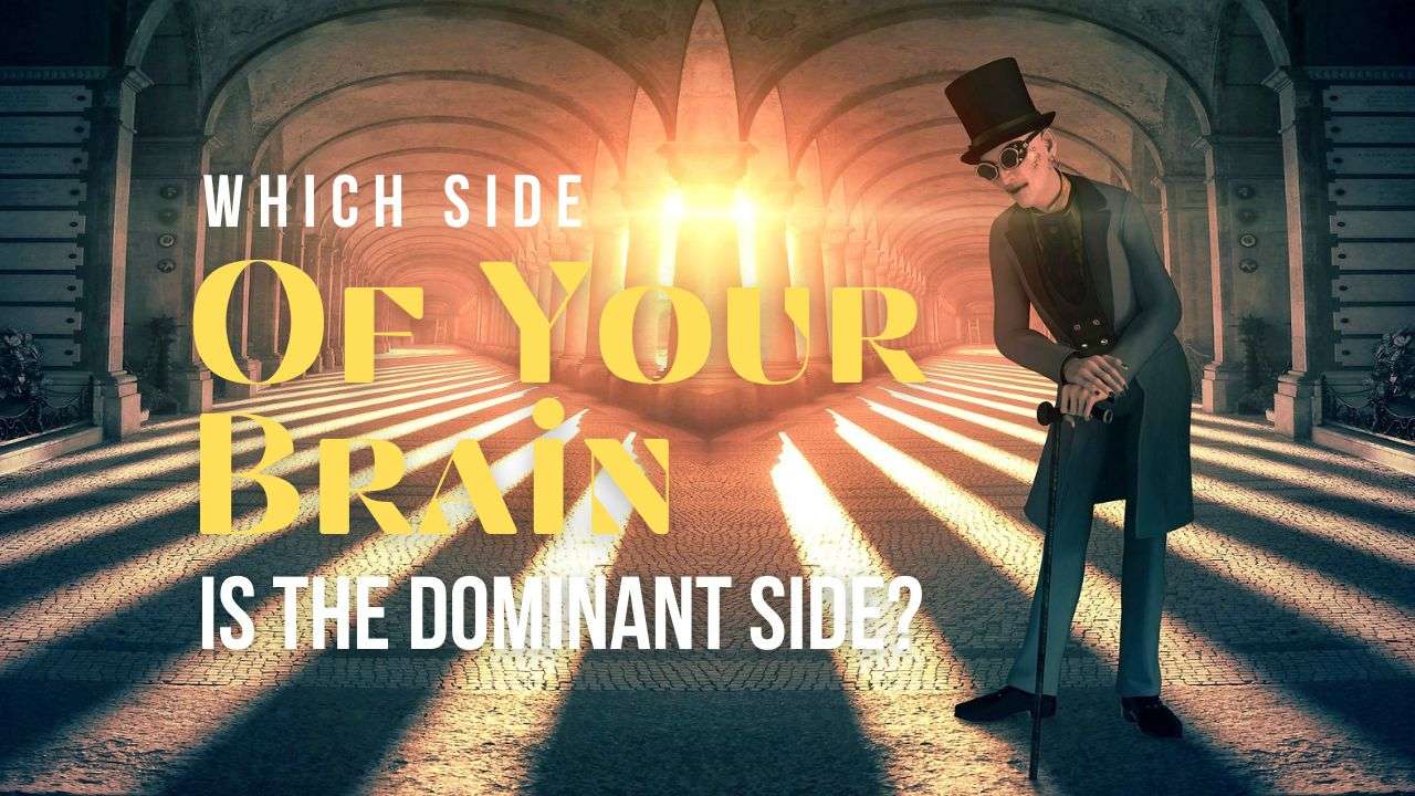 Which Side of Your Brain are The Dominant Brain Hemispheres? | The ...