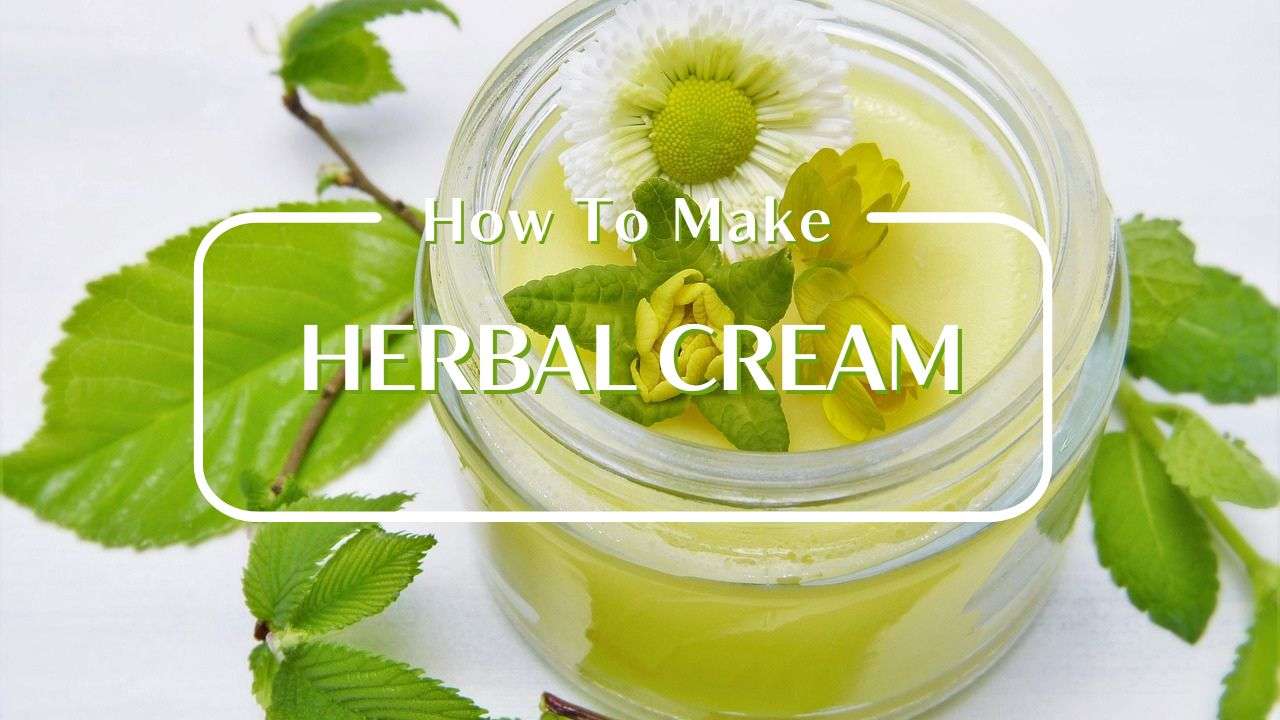How to make an herbal cream | The Aquarius Bus